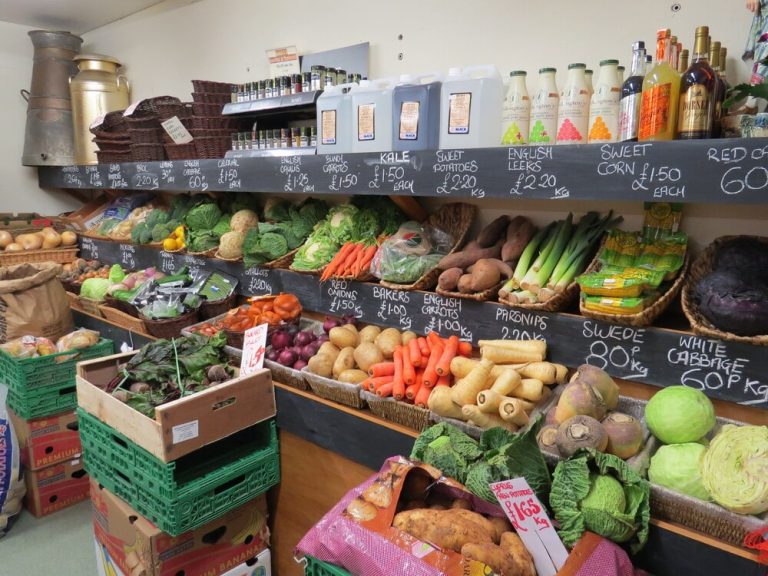Photo Gallery | Longdown Activity Farm