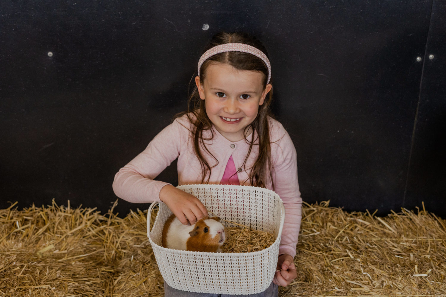 Whats on | Longdown Activity Farm