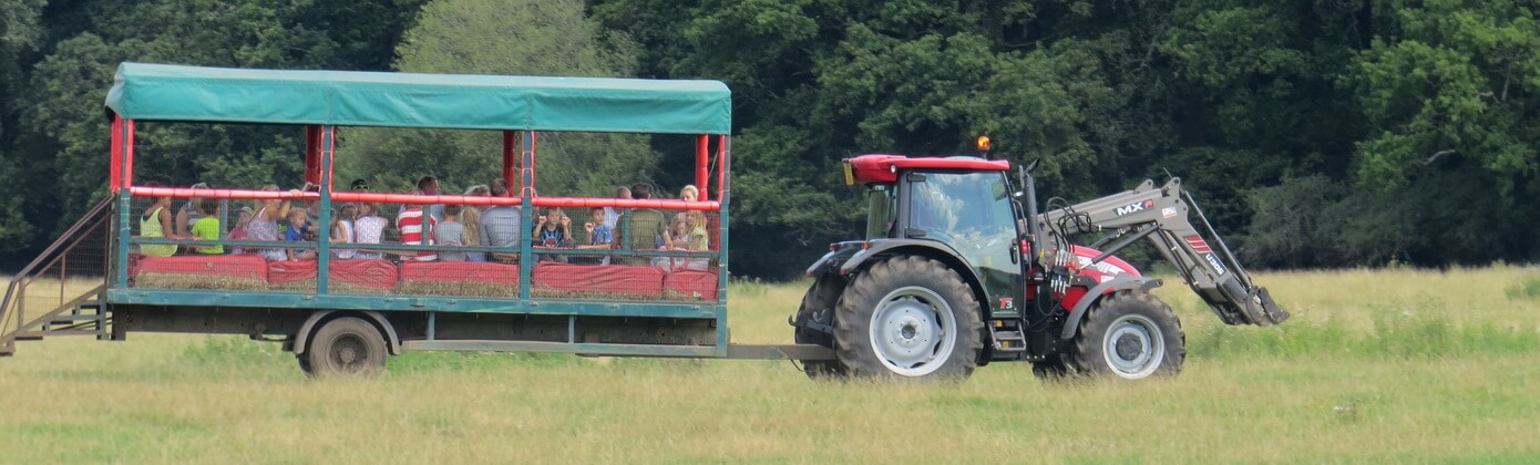 Longdown Activity Farm | Ashurst, New Forest, Southampton