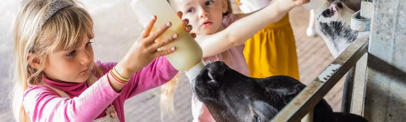 Longdown Activity Farm | Ashurst, New Forest, Southampton