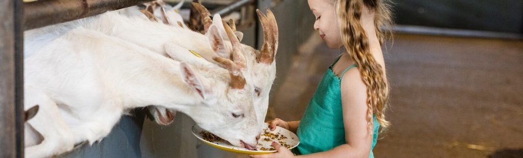 Longdown Activity Farm | Ashurst, New Forest, Southampton