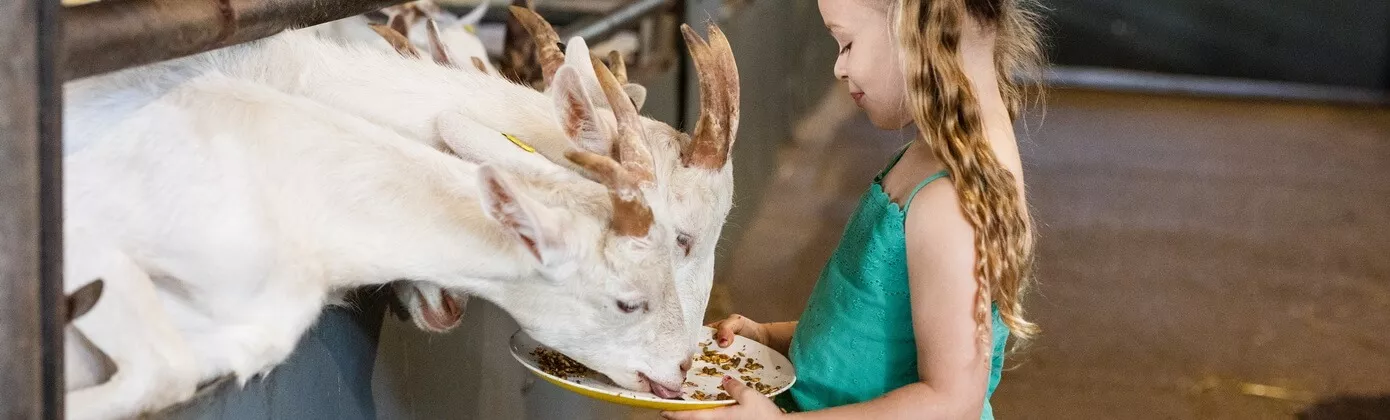 Longdown Activity Farm | Ashurst, New Forest, Southampton