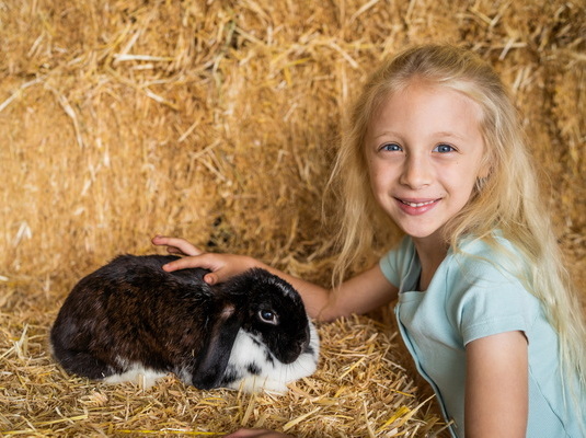 Longdown Activity Farm | Ashurst, New Forest, Southampton