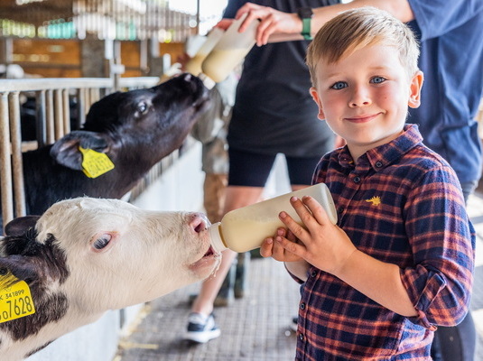 Longdown Activity Farm | Ashurst, New Forest, Southampton