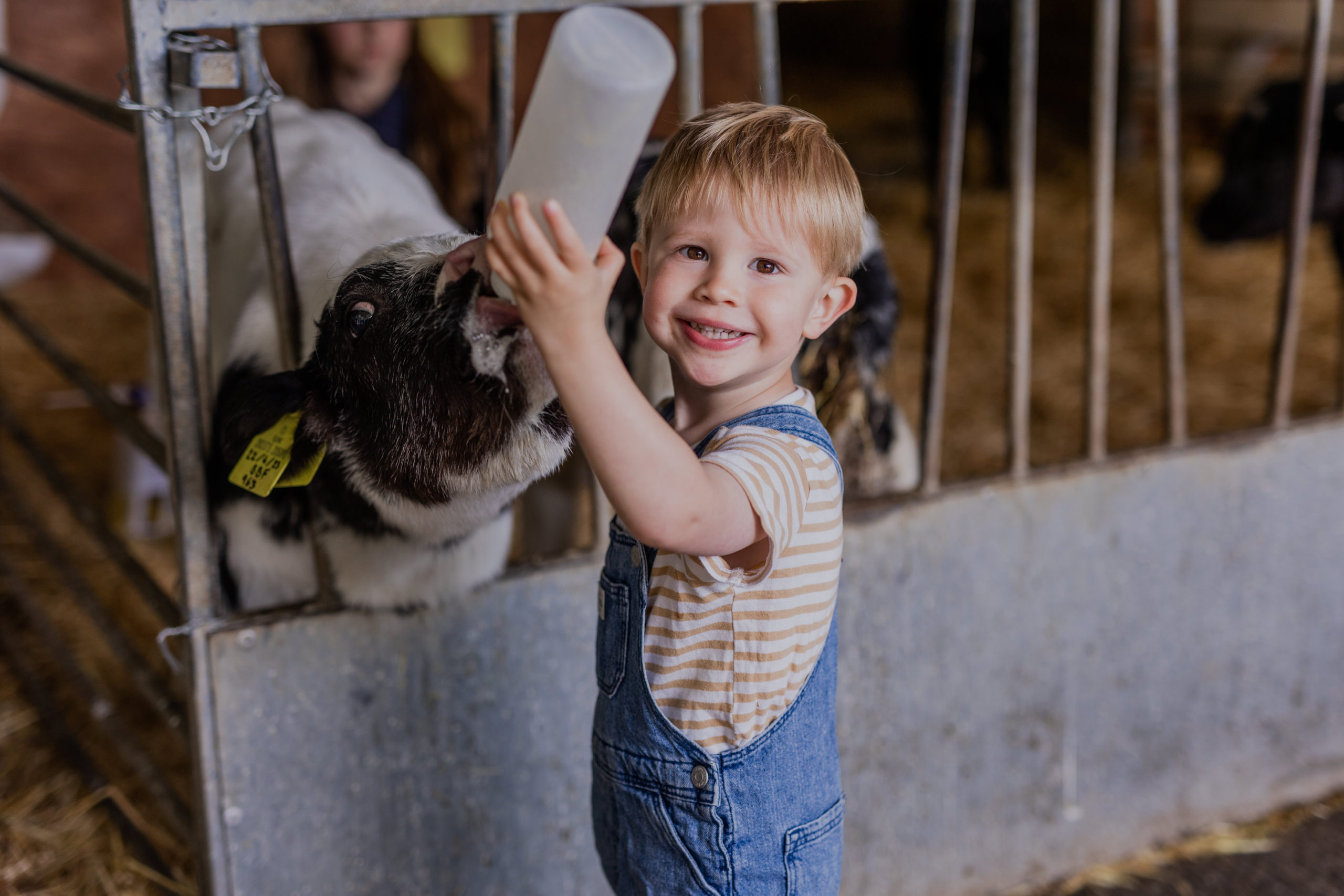 Longdown Activity Farm | Ashurst, New Forest, Southampton