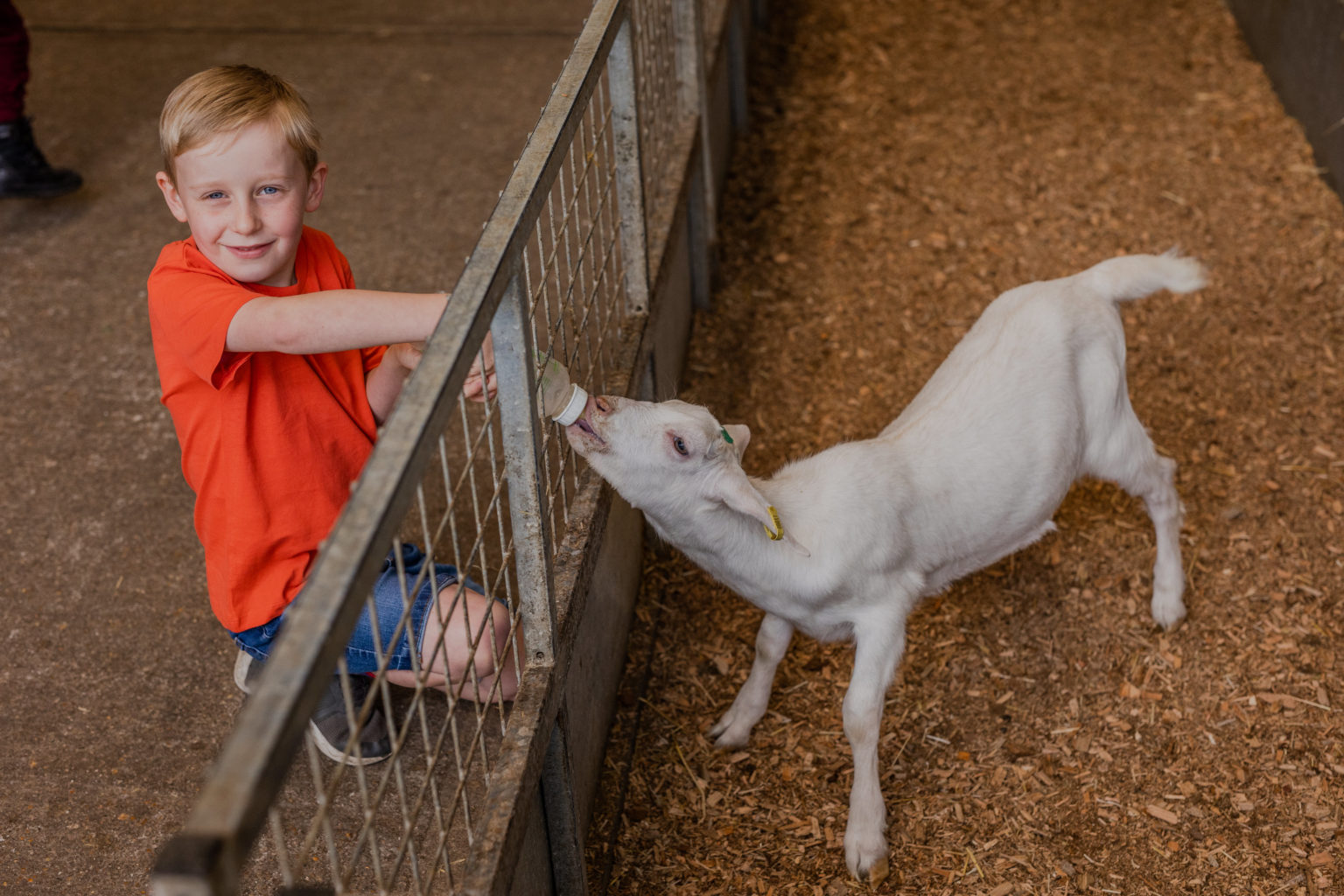 Admission Prices & Times | Longdown Activity Farm
