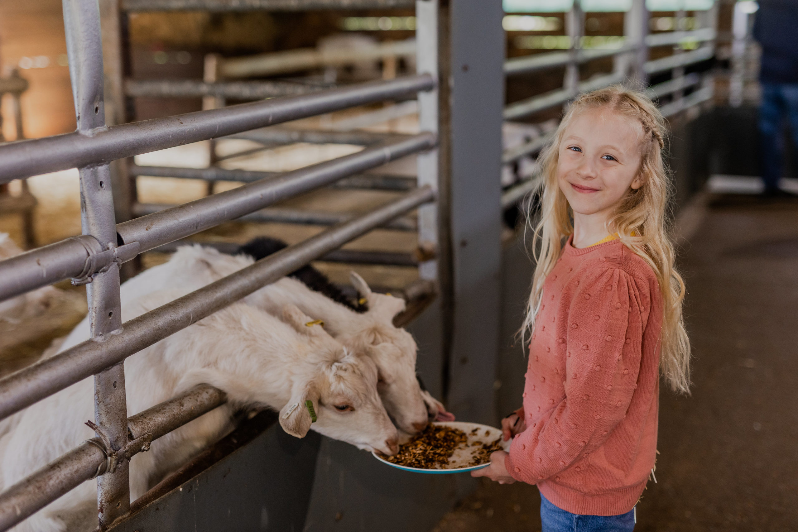 Whats on | Longdown Activity Farm