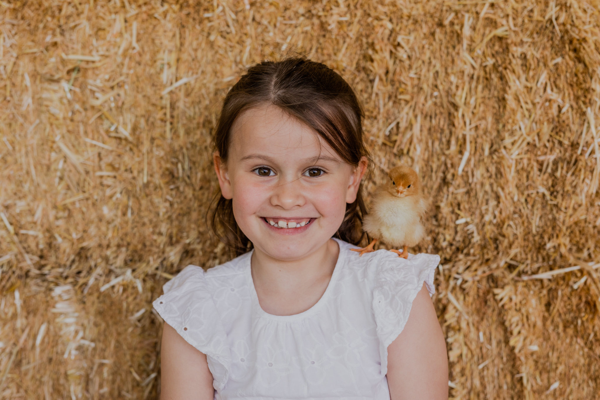 Longdown Activity Farm | Ashurst, New Forest, Southampton