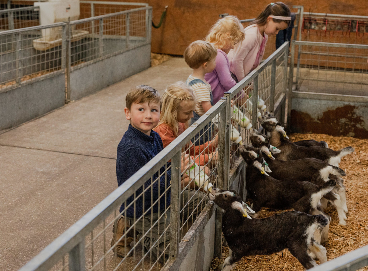 Whats on | Longdown Activity Farm