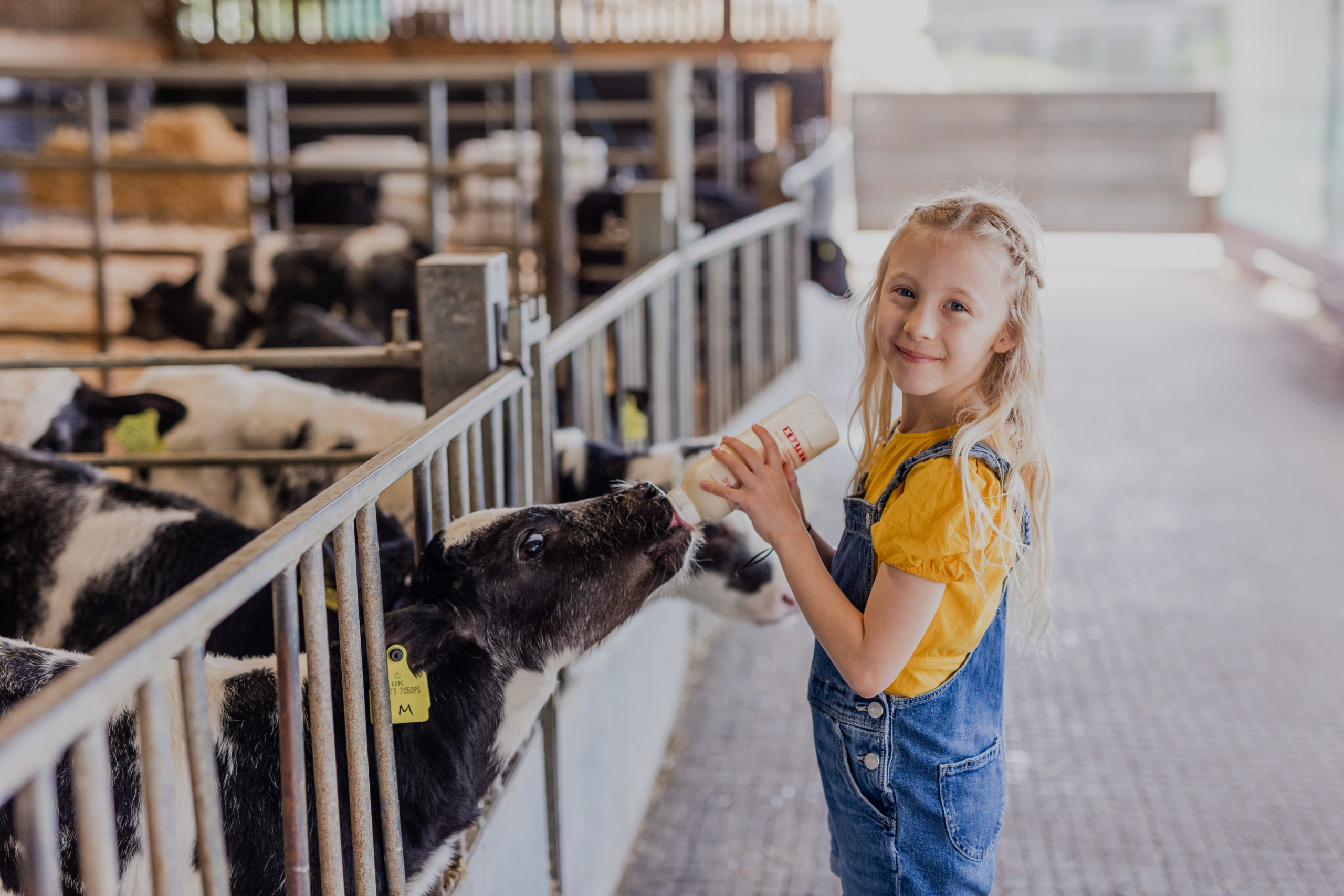 Longdown Activity Farm | Ashurst, New Forest, Southampton