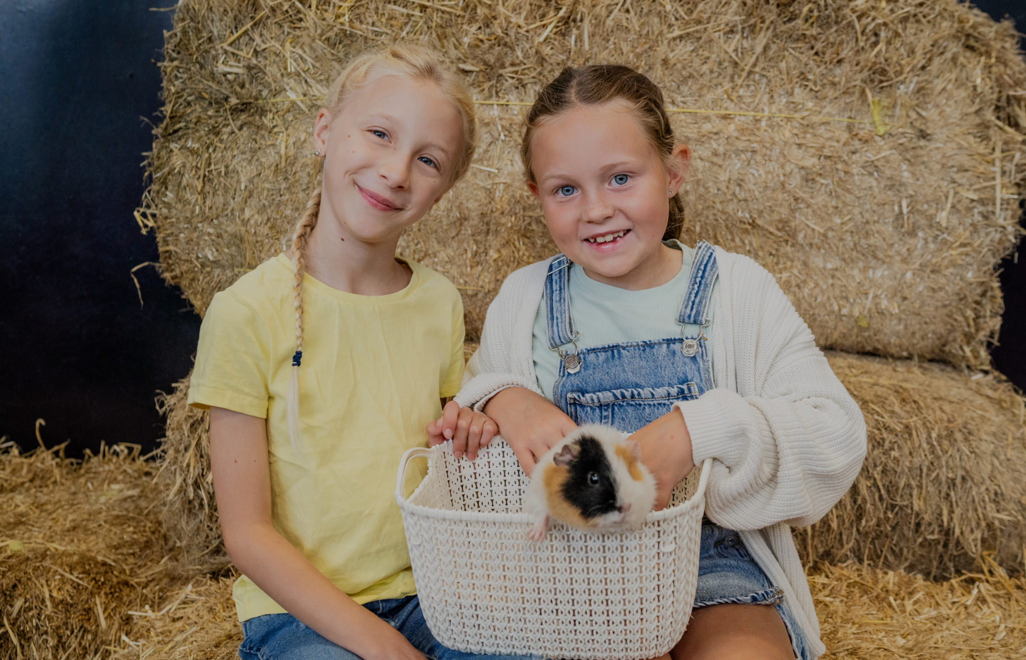 Longdown Activity Farm | Ashurst, New Forest, Southampton