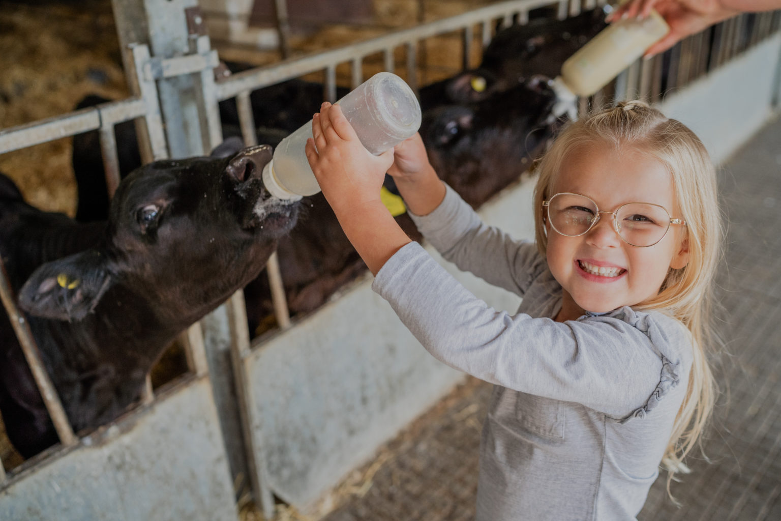 Longdown Activity Farm | Ashurst, New Forest, Southampton