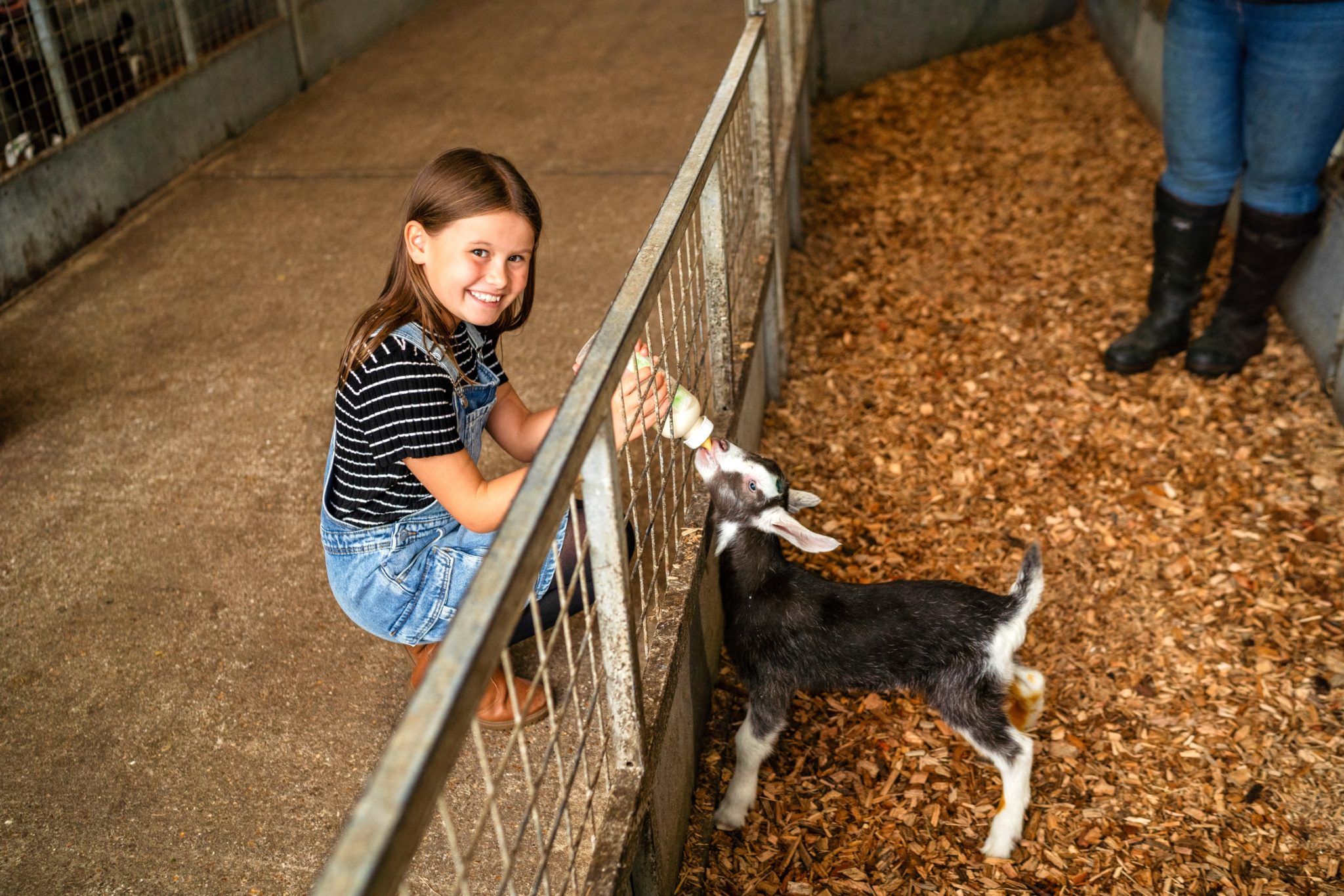Whats on | Longdown Activity Farm