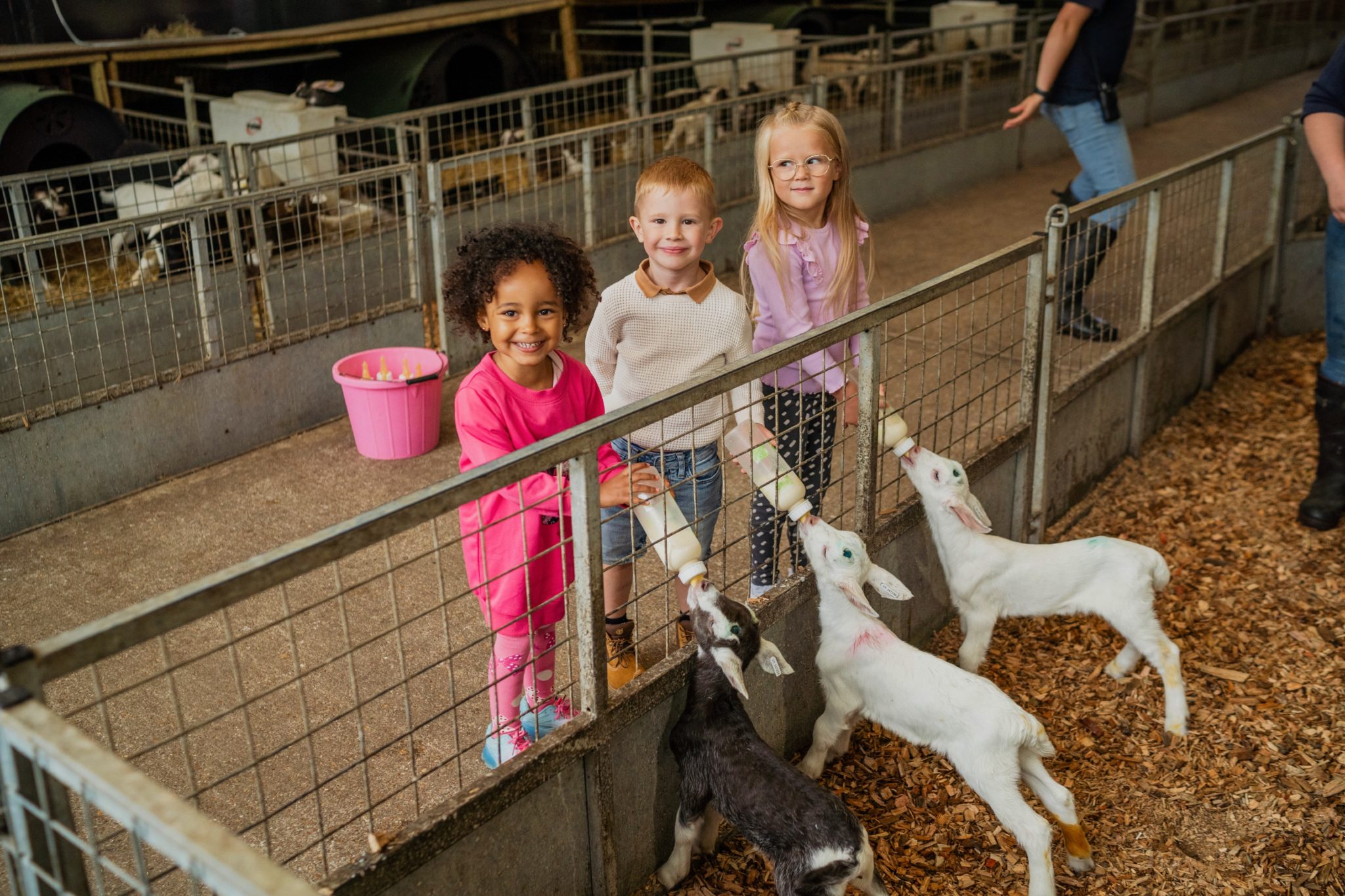 Whats on | Longdown Activity Farm