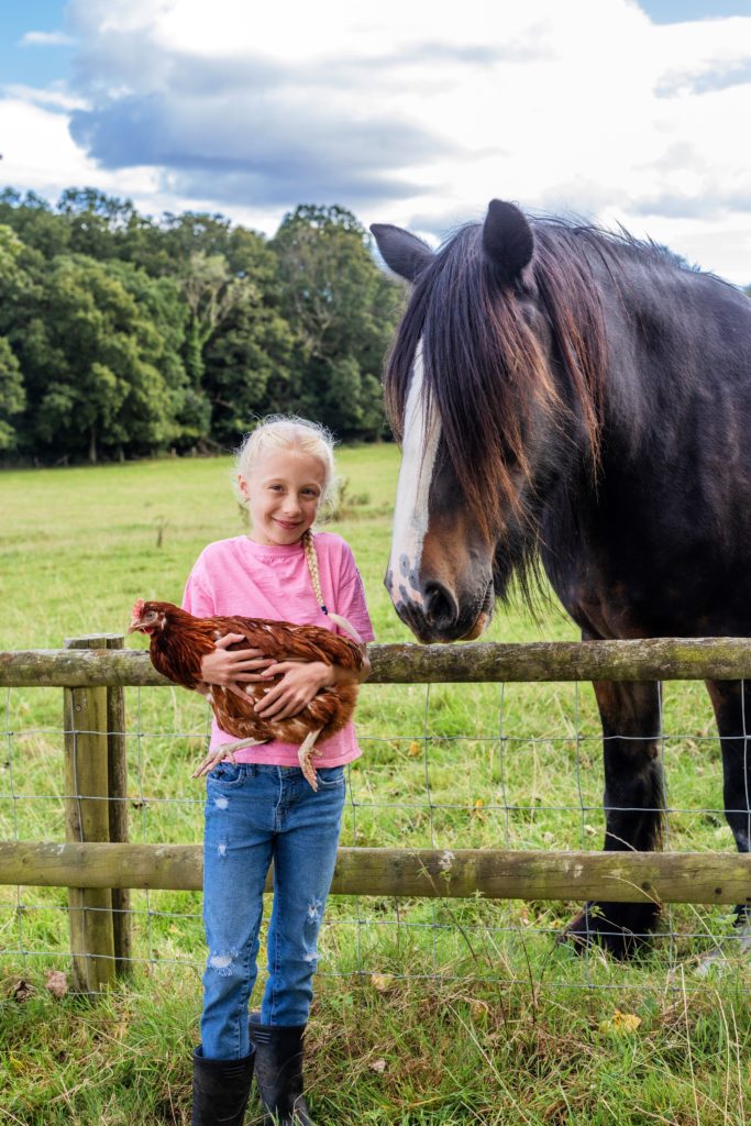 Admission Prices & Times | Longdown Activity Farm