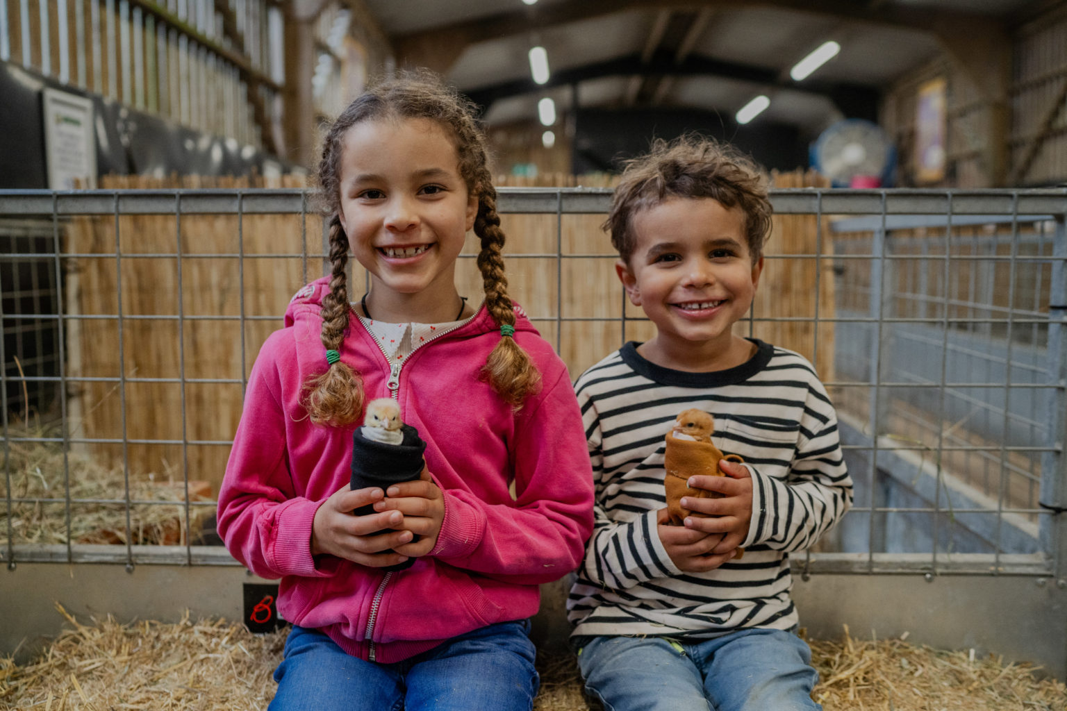 Longdown Activity Farm | Ashurst, New Forest, Southampton
